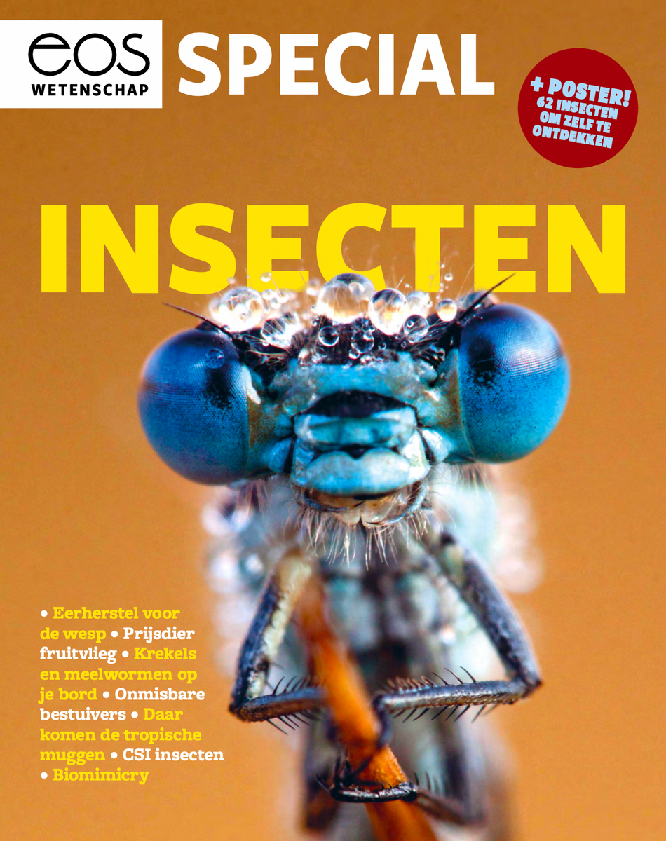 Eos Wetenschap Special - Insecten -tijdschriftenwinkel.be – Tijdschriftenwinkel